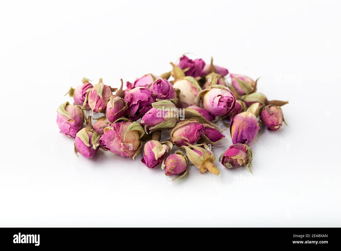Flower tea rose buds on white background. Close up Stock Photo - Alamy