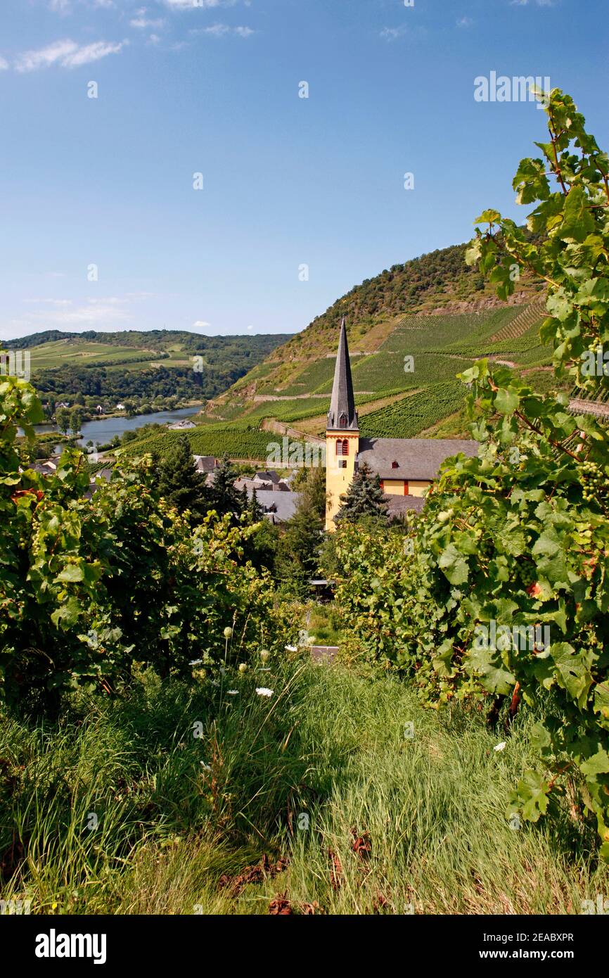 Church st katharina hi-res stock photography and images - Alamy