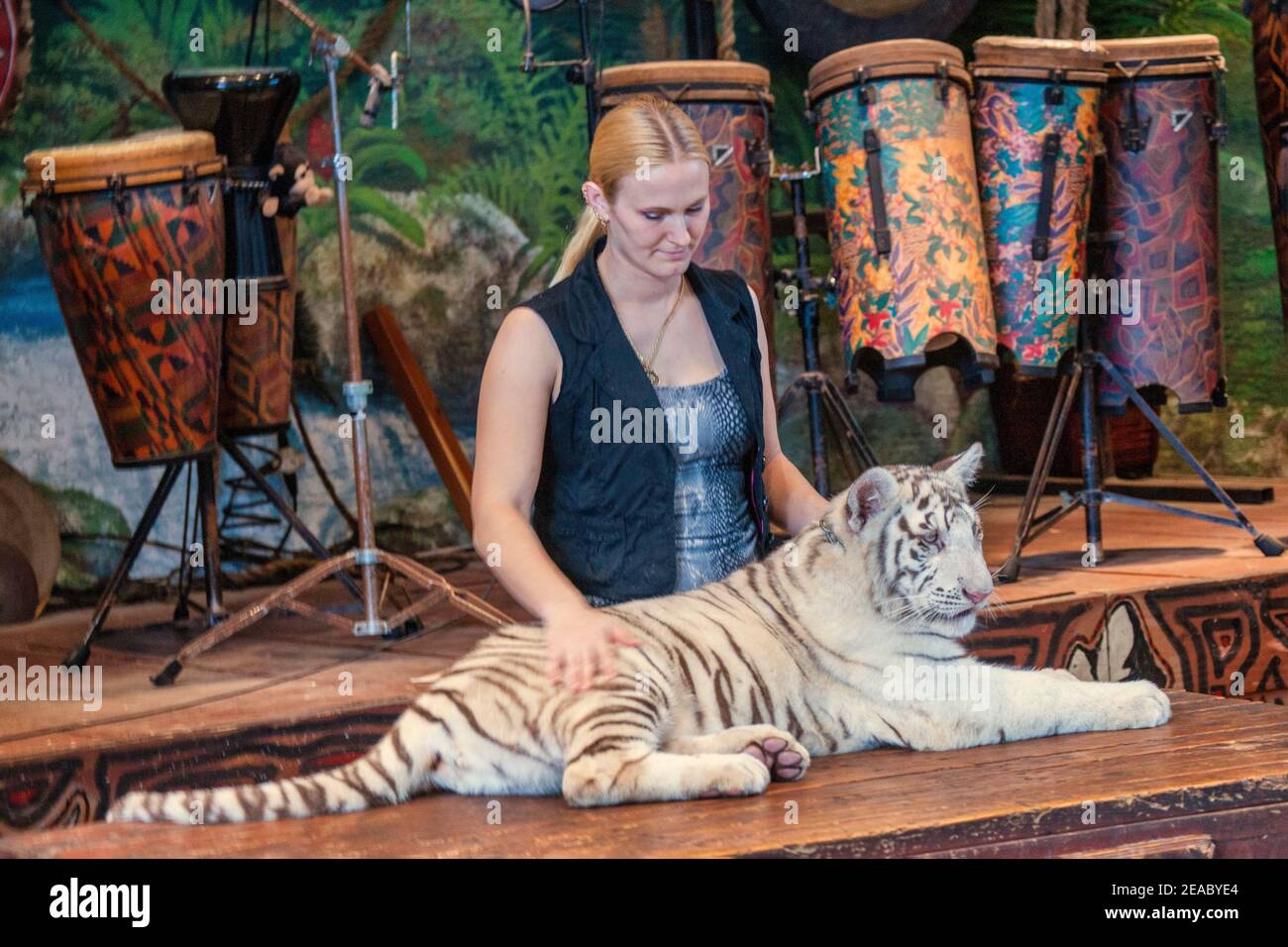 Animal trainer tiger hi-res stock photography and images - Alamy