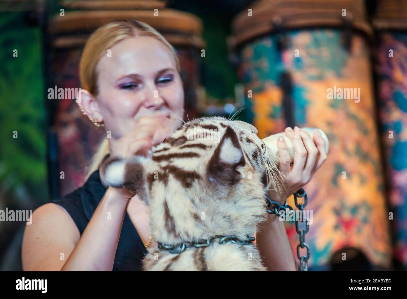 Tiger keeper hi-res stock photography and images - Alamy