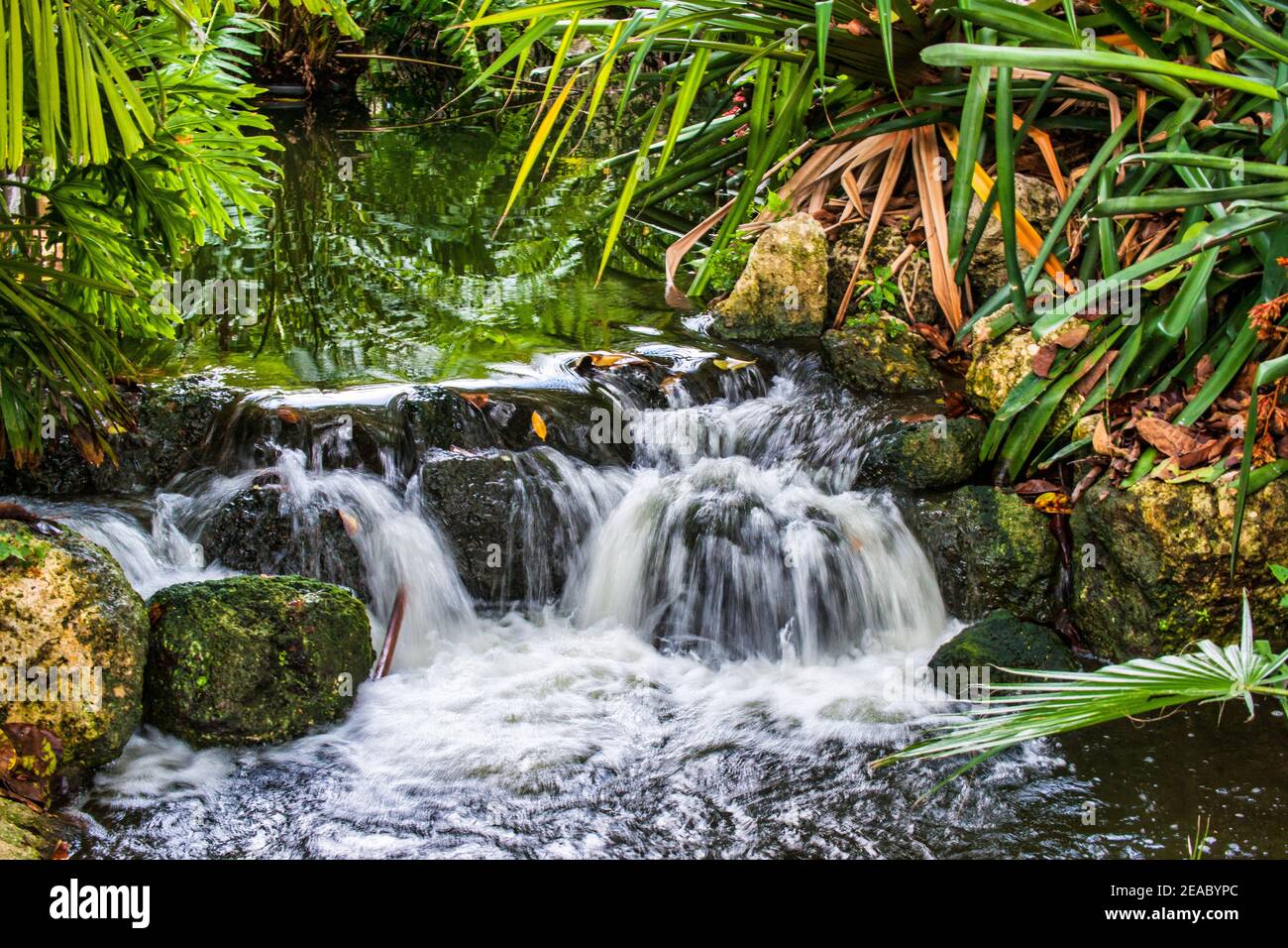 A waterfall framed in a lush tropical setting at Jungle Island in Miami ...