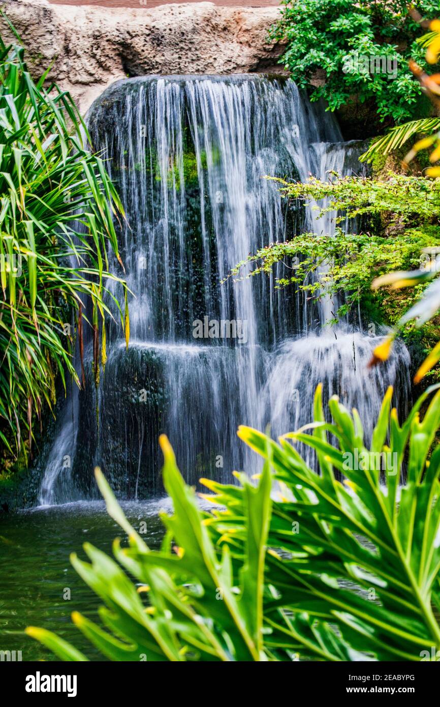 A waterfall framed by philodendron leaves in a lush tropical setting at ...
