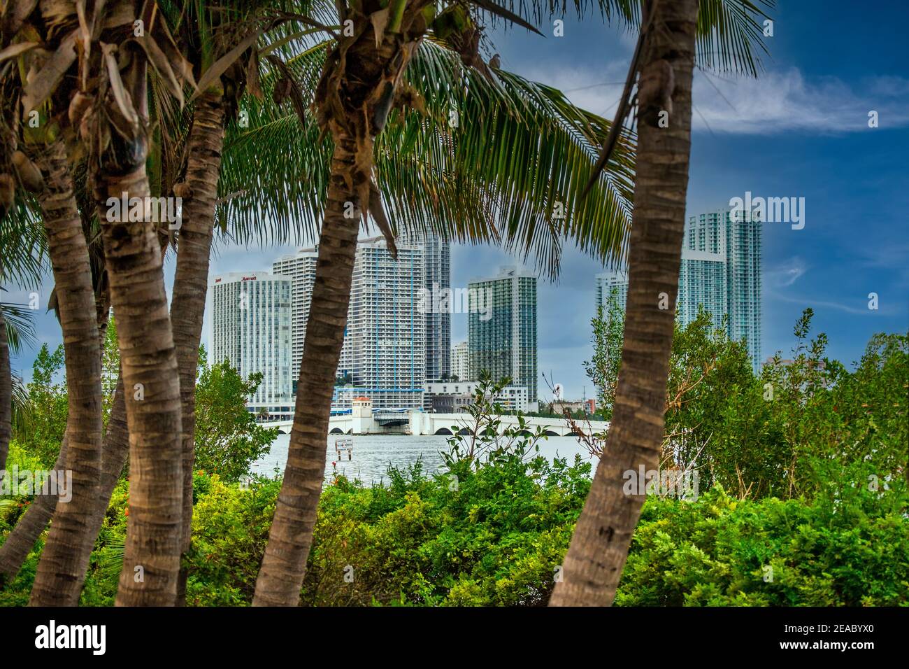 The first bridge of Venetian Causeway seen from Jungle Island in Miami ...