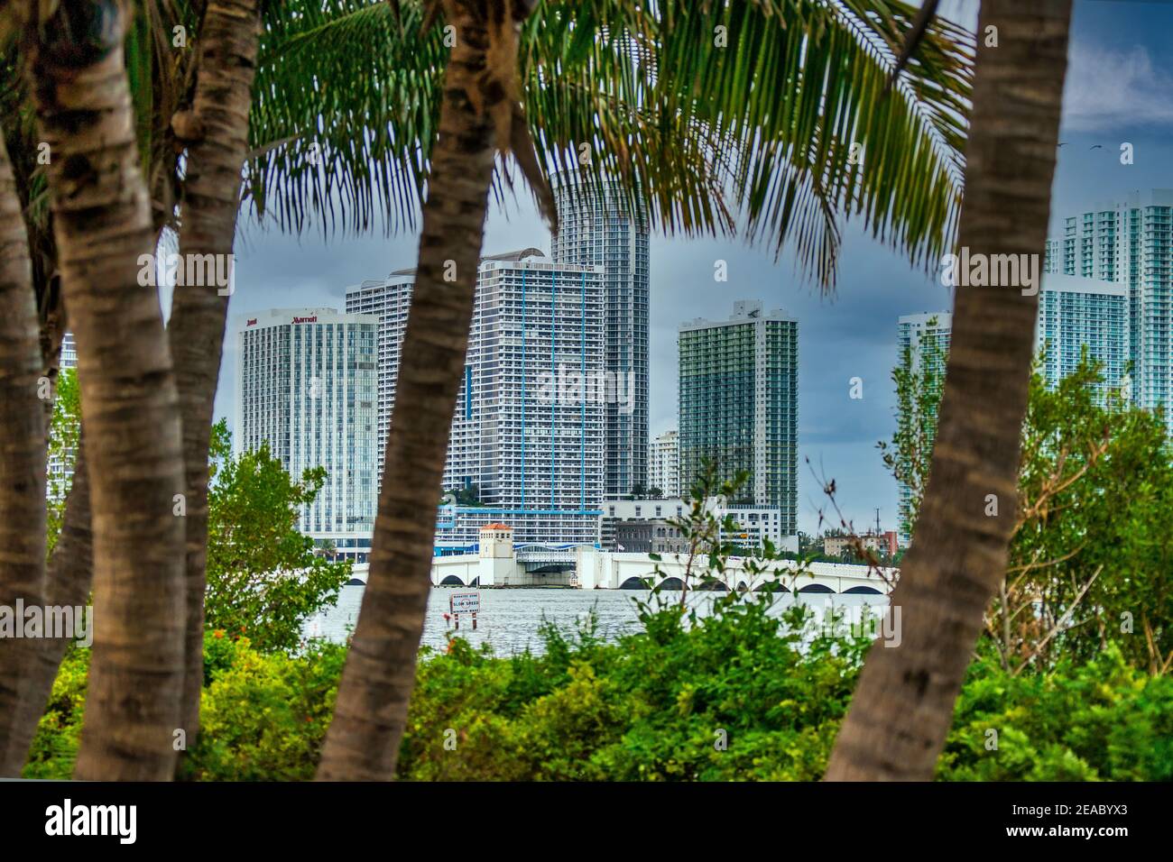The first bridge of Venetian Causeway seen from Jungle Island in Miami ...