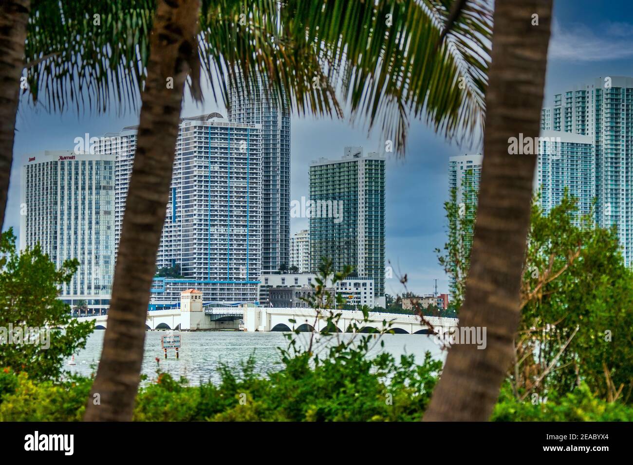 The first bridge of Venetian Causeway seen from Jungle Island in Miami ...