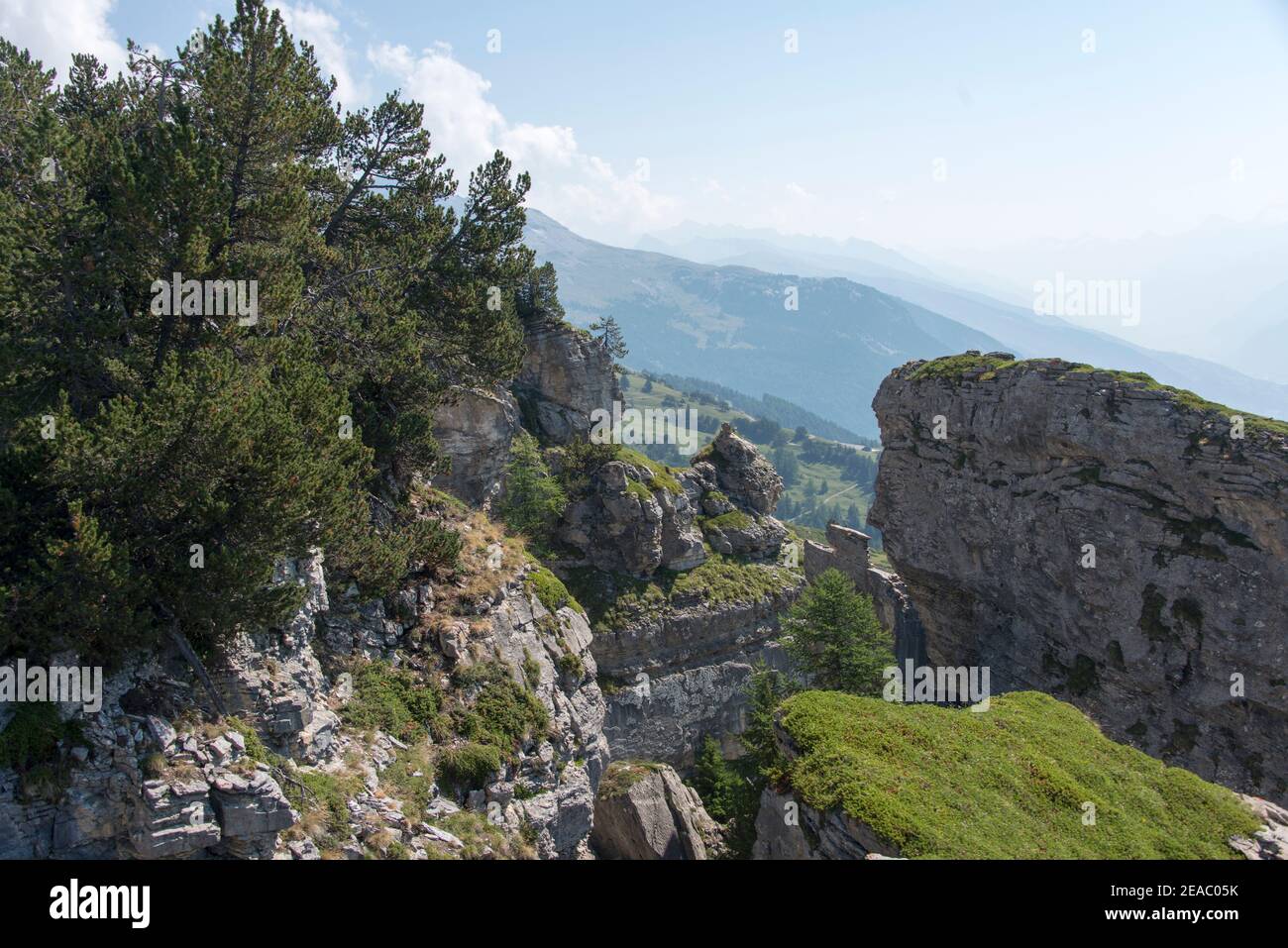 Crevices hi-res stock photography and images - Alamy