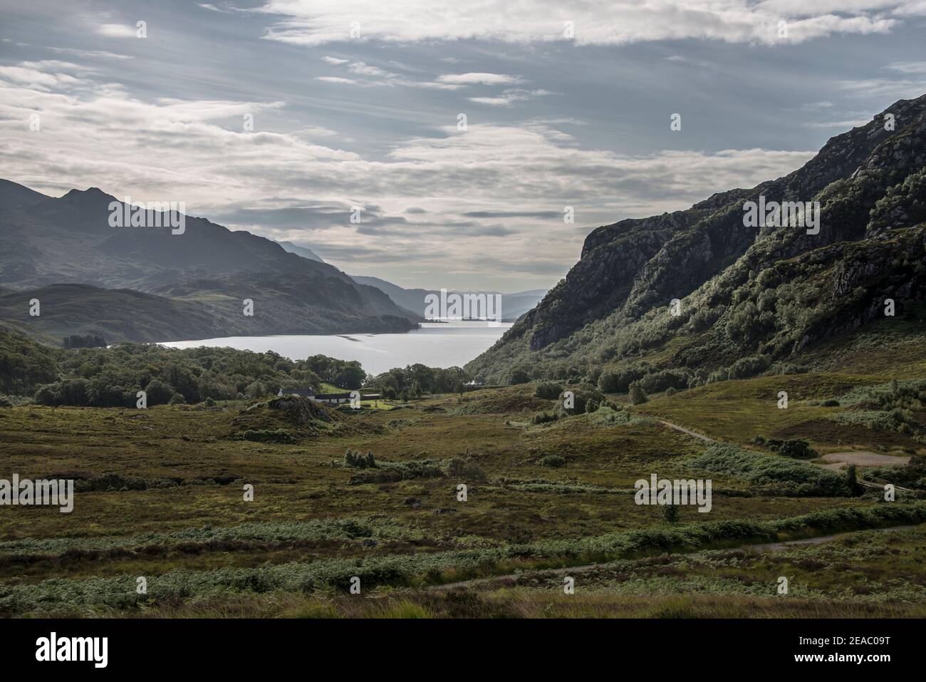 Scottish woodlands hi-res stock photography and images - Alamy