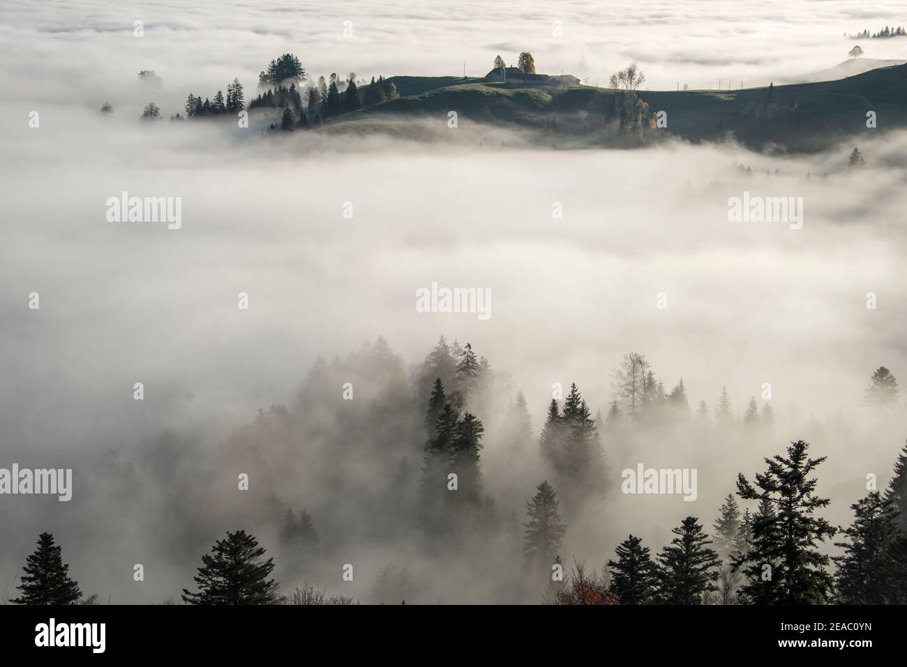 Fog line hi-res stock photography and images - Alamy