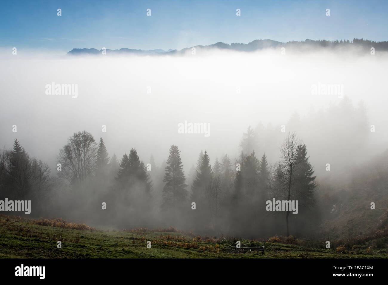 Barrow line hi-res stock photography and images - Alamy