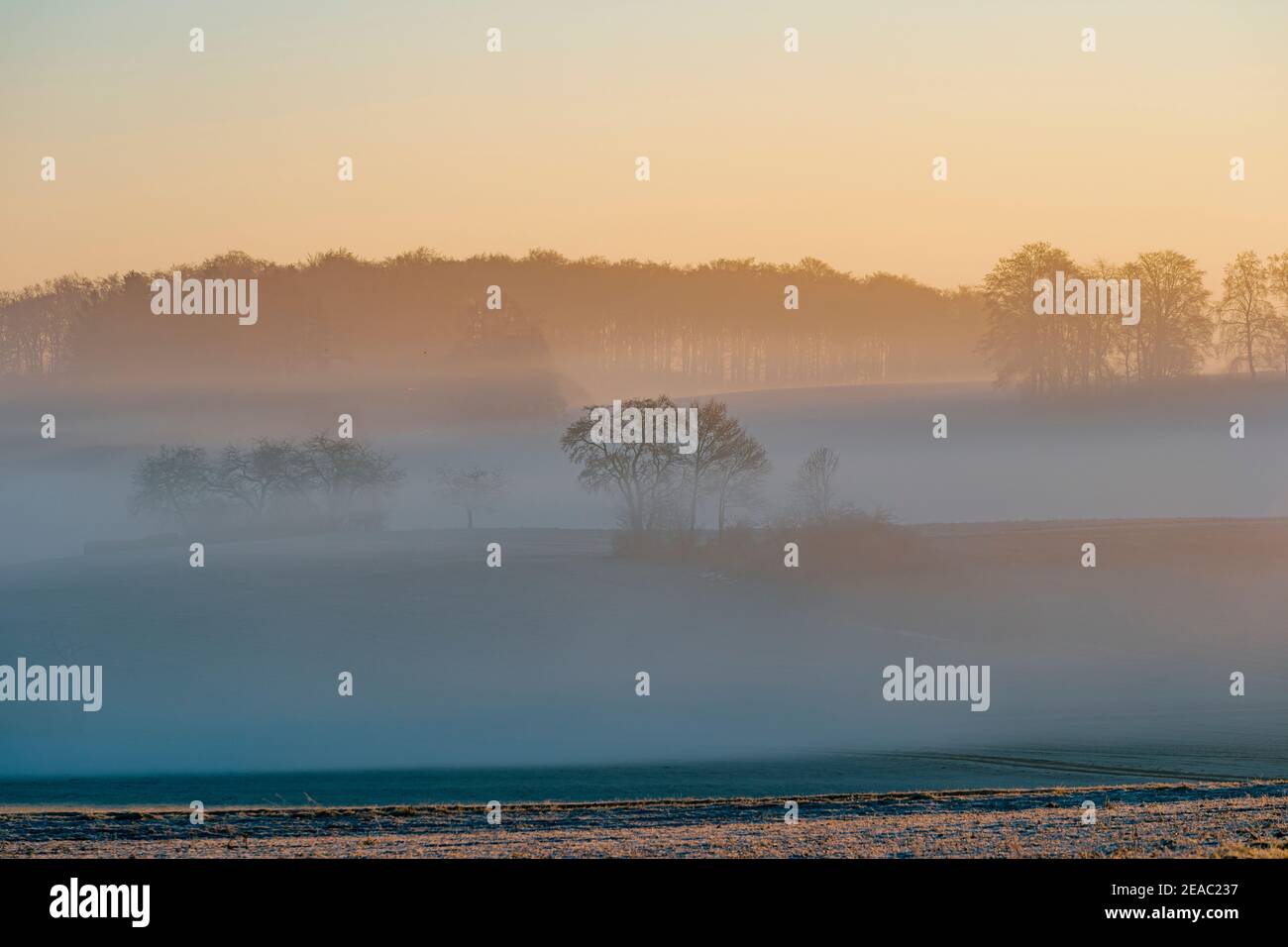 Morning mist, sunrise, Swabian Alb, Baden-Wuerttemberg, Germany, Europe ...