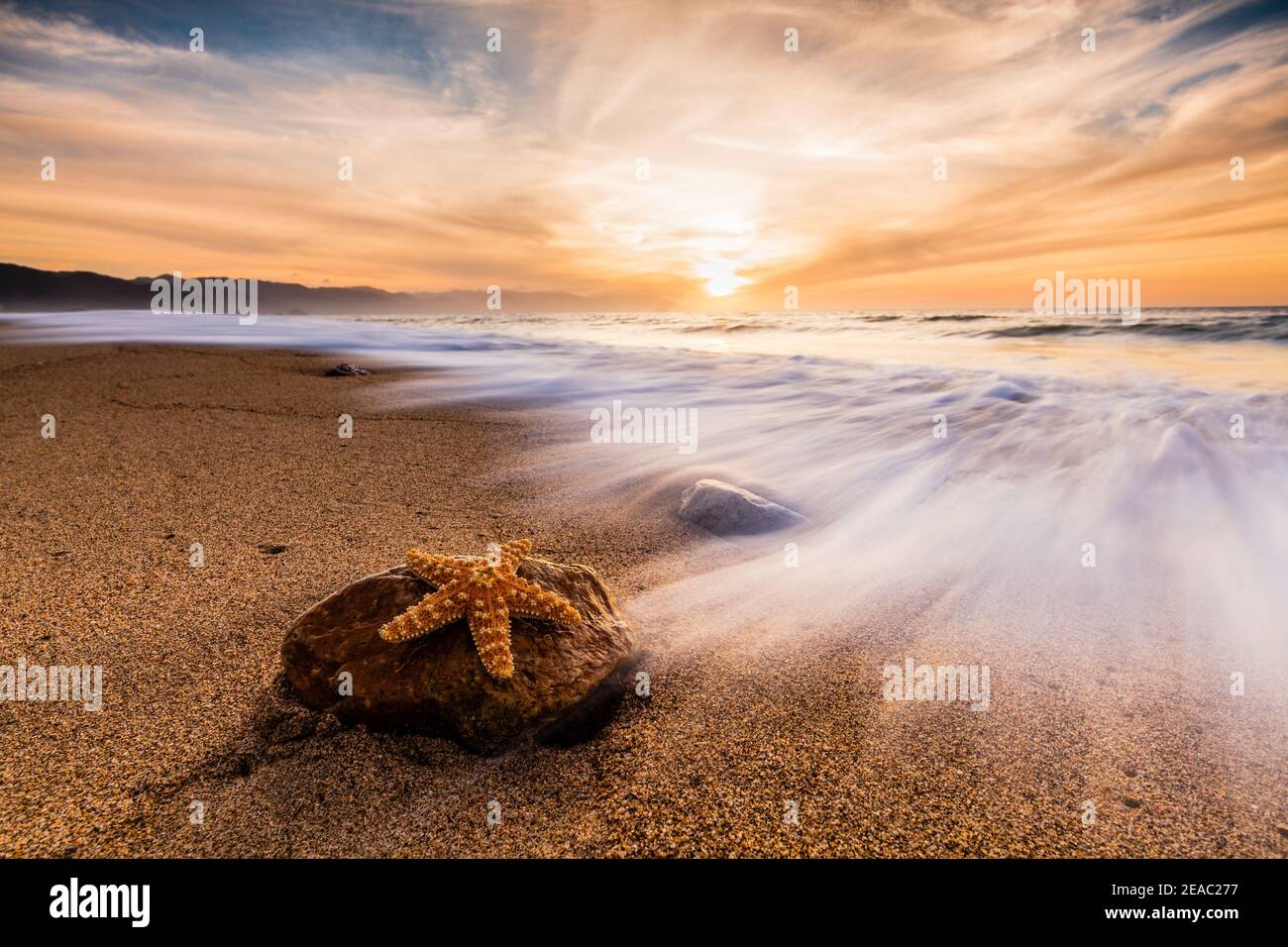 Starfish In Sand Sunset