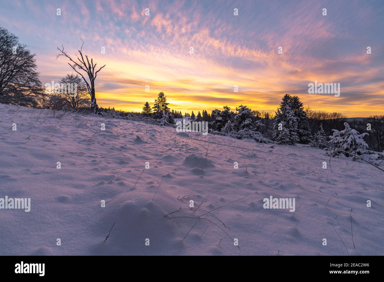 Winter, winter world, snow, juniper heather, sunrise, Swabian Alb ...