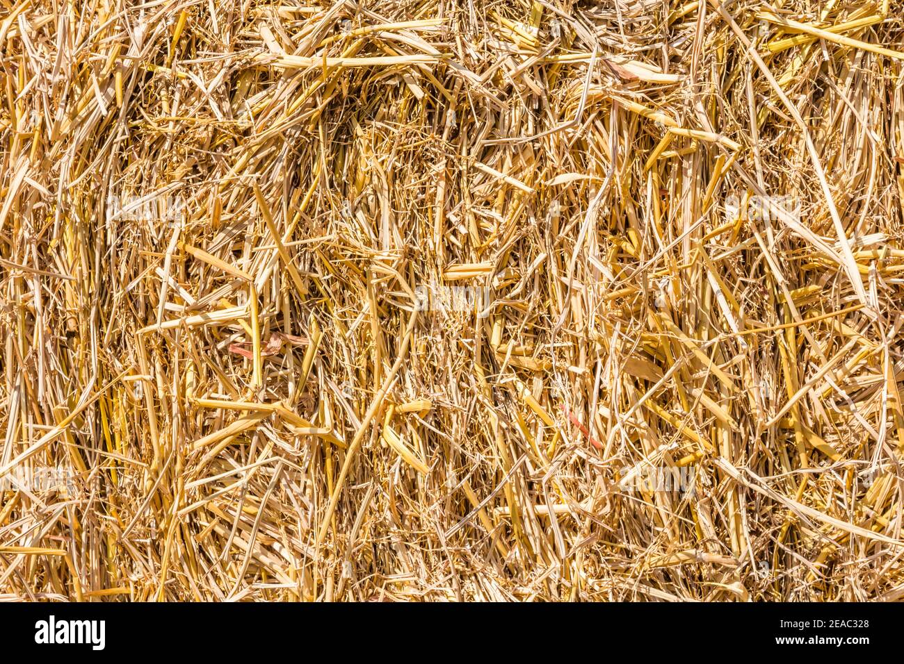 texture of dry straw Background Stock Photo - Alamy