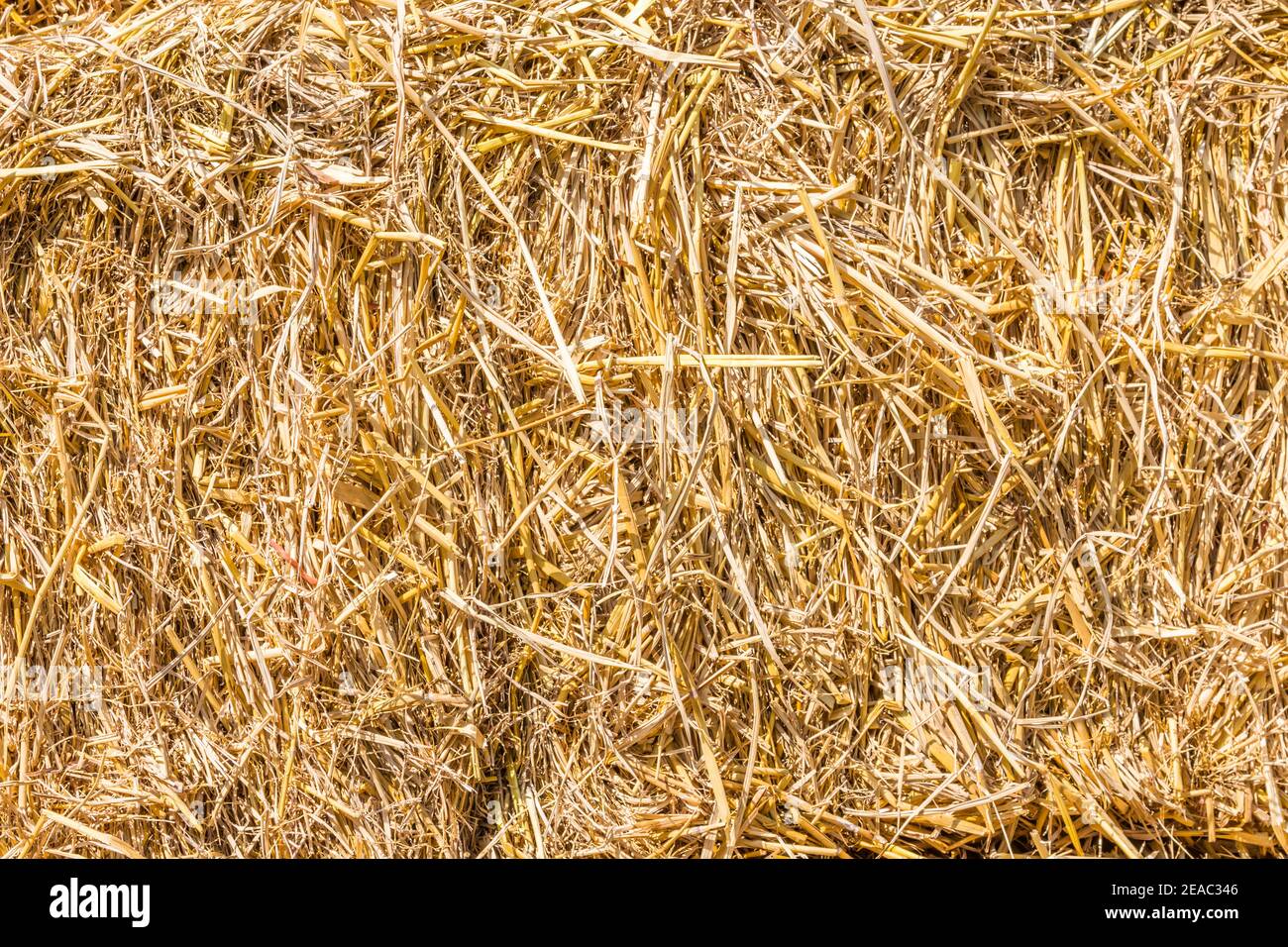 texture of dry straw Background Stock Photo - Alamy