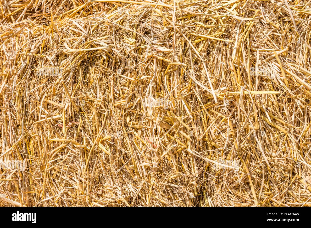 texture of dry straw Background Stock Photo - Alamy