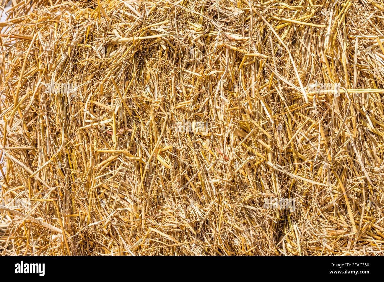 Dry straw background hi-res stock photography and images - Alamy