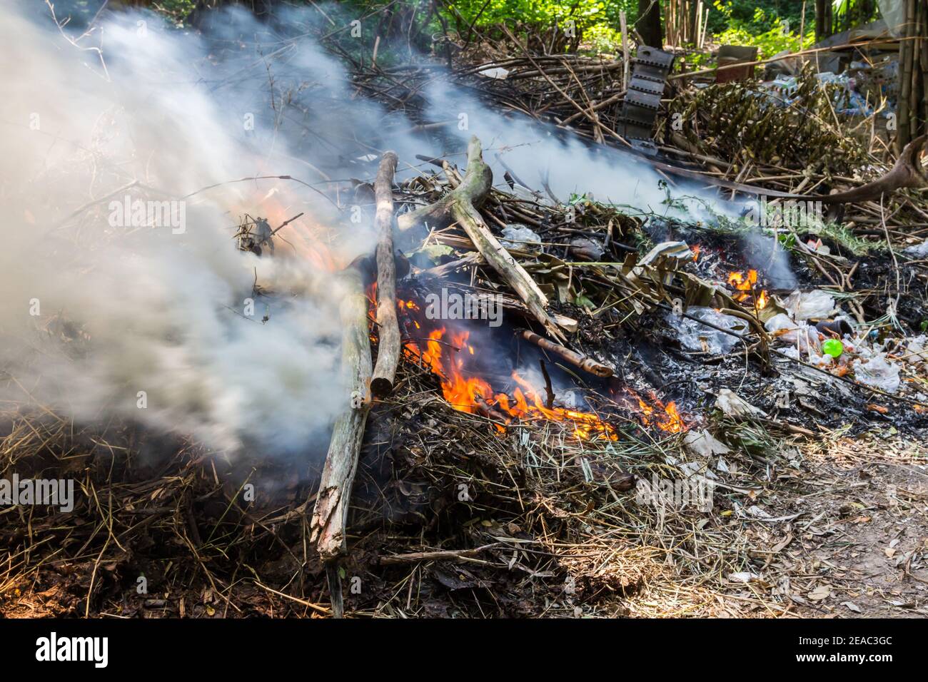 fire burning dry tree branches Stock Photo - Alamy