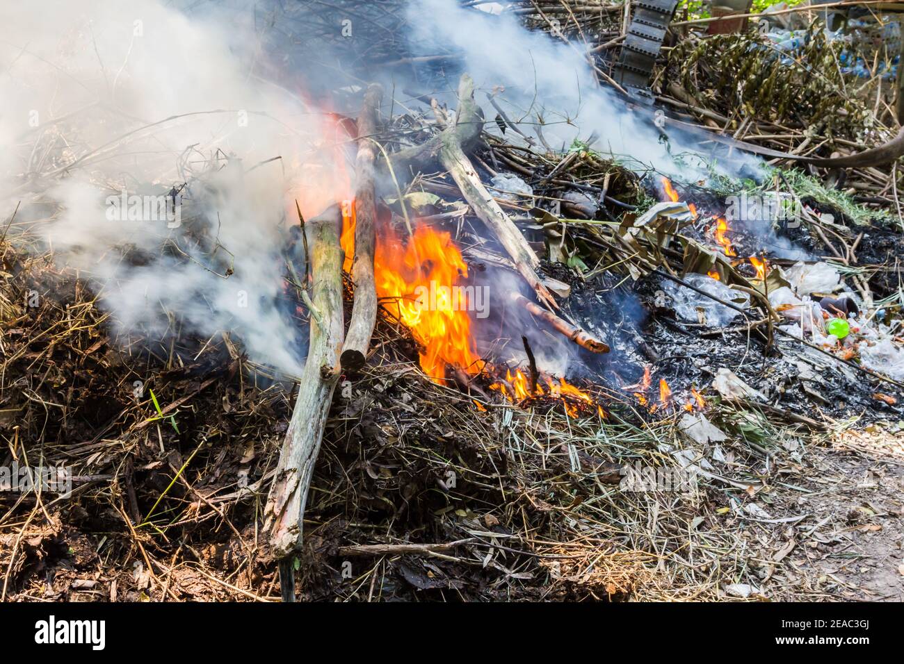 fire burning dry tree branches Stock Photo - Alamy