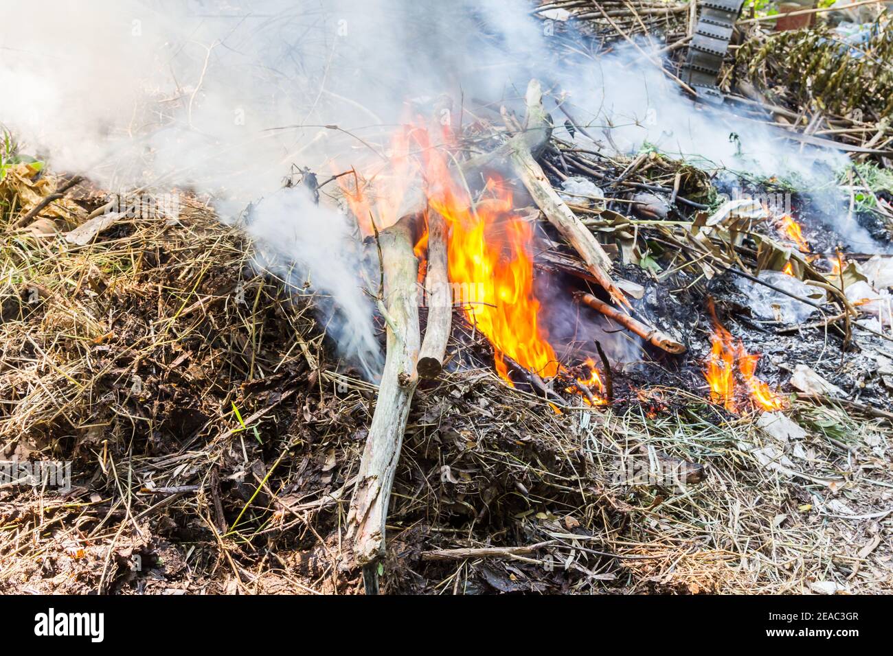 fire burning dry tree branches Stock Photo - Alamy