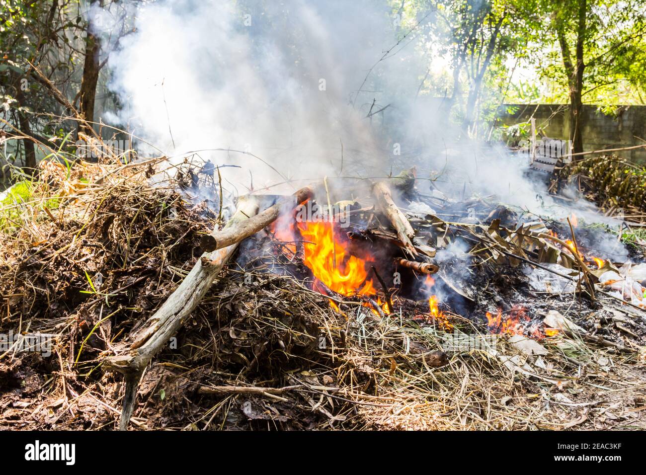 Burning dry tree branches hi-res stock photography and images - Alamy