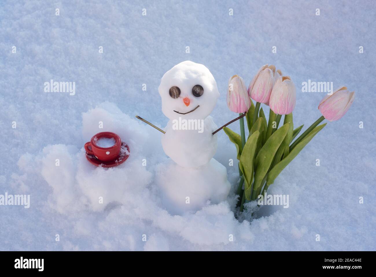 Happy Spring Pictures With Snow