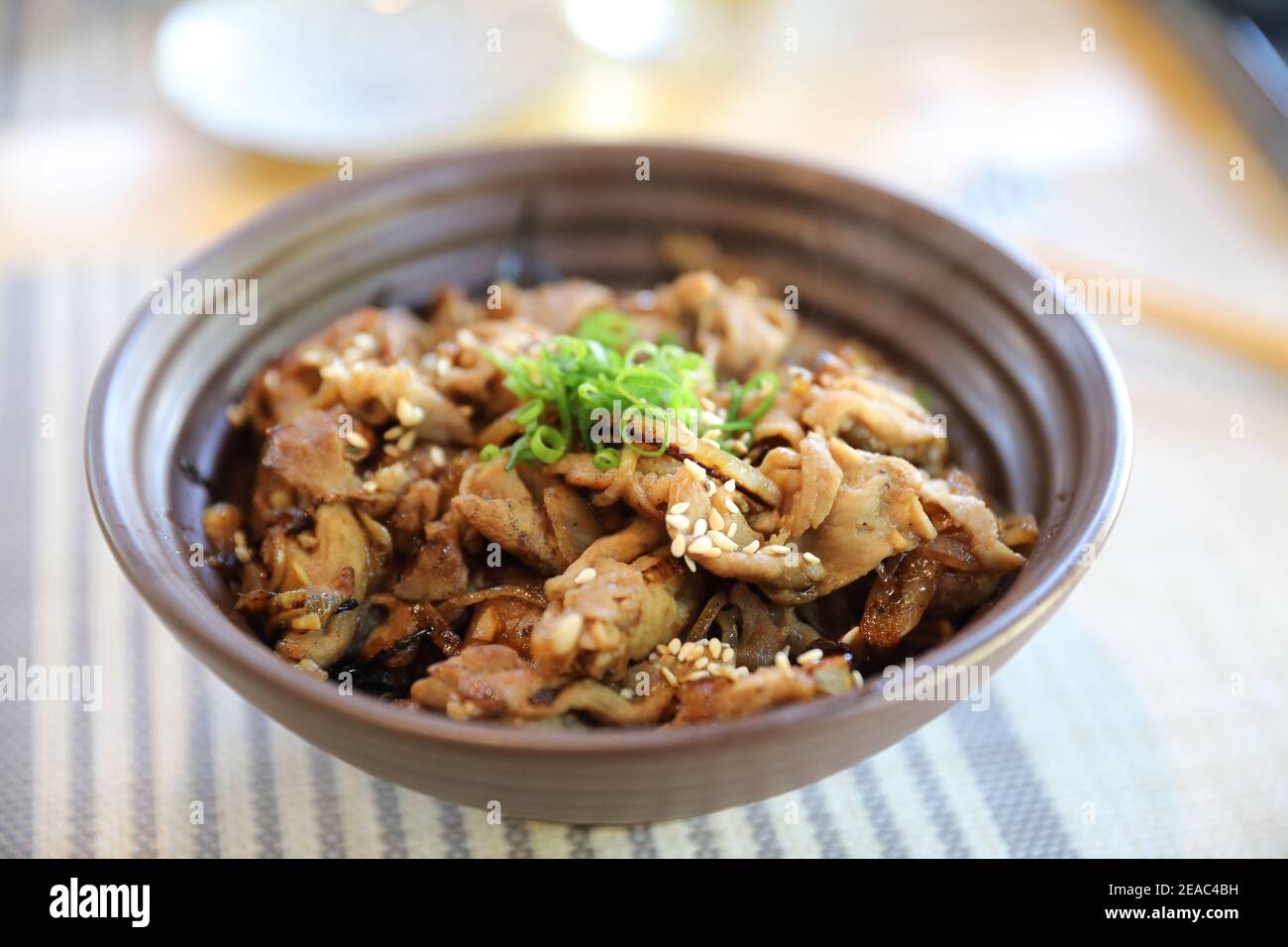 Gyudon , Japanese beef rice bowl in close up Japanese local food Stock ...