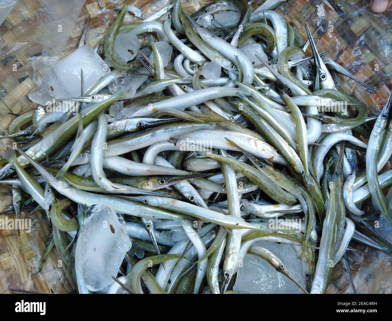 Good eating fish hi-res stock photography and images - Alamy