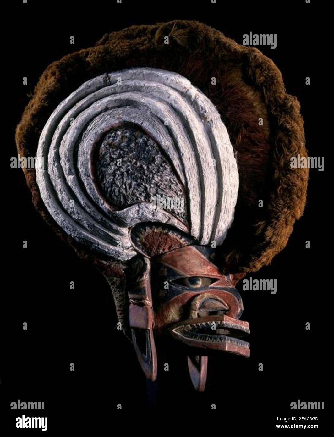 38 cm shells hi-res stock photography and images - Alamy