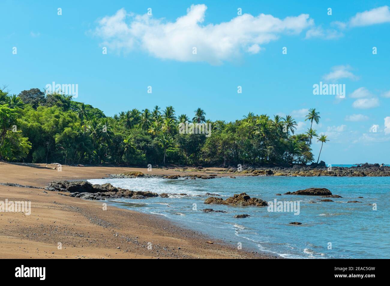 Playa Madrigal beach landscape, Corcovado national park, Osa Peninsula, Costa Rica Stock Photo ...