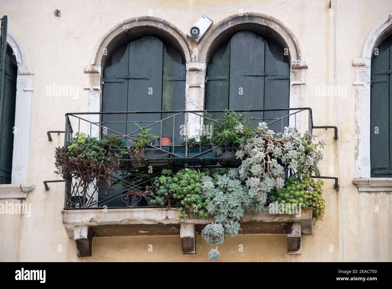 green balcony, Venice Stock Photo - Alamy