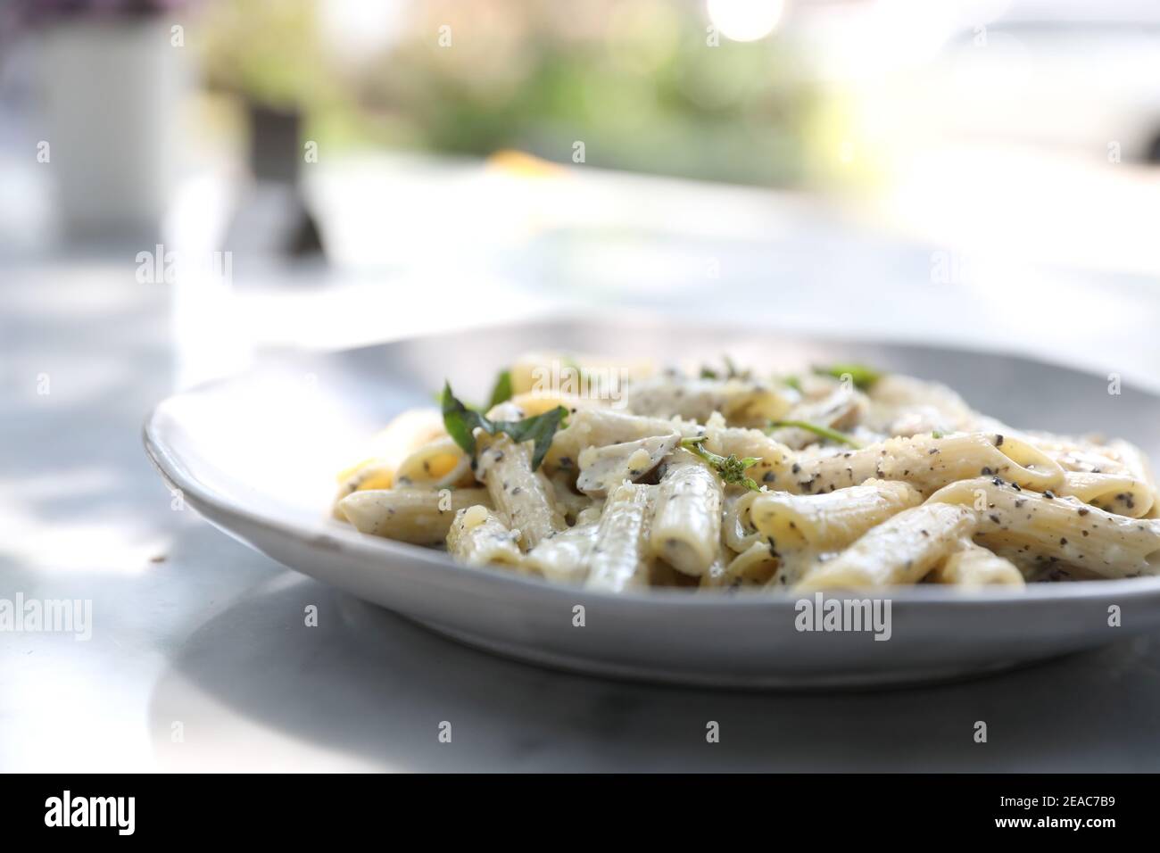 Penne pasta with white sauce and truffle , italian food Stock Photo - Alamy