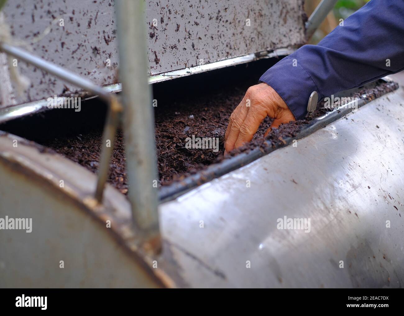 A farmer's hand grabbing and inspecting a pile of compost, made from ...