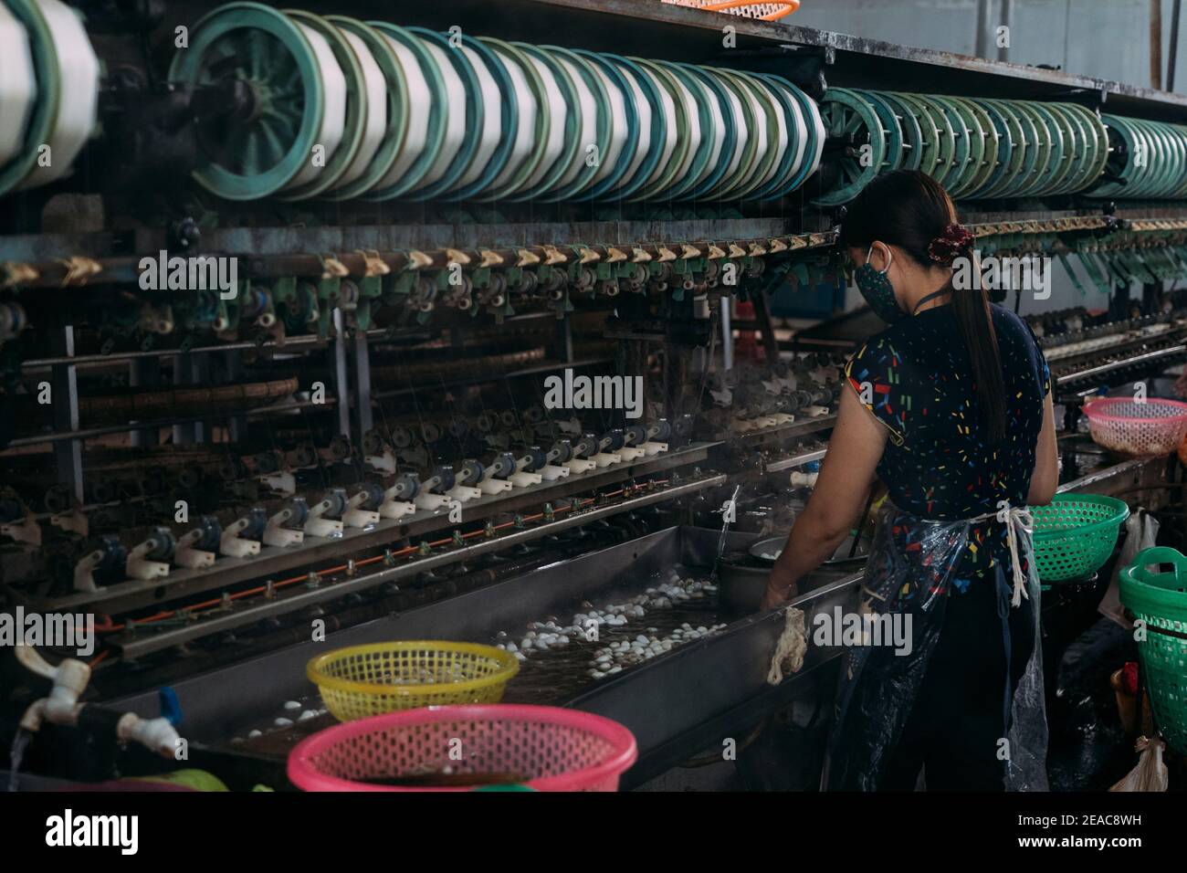 Female worker standing processing silk worms in a silk factory Stock ...