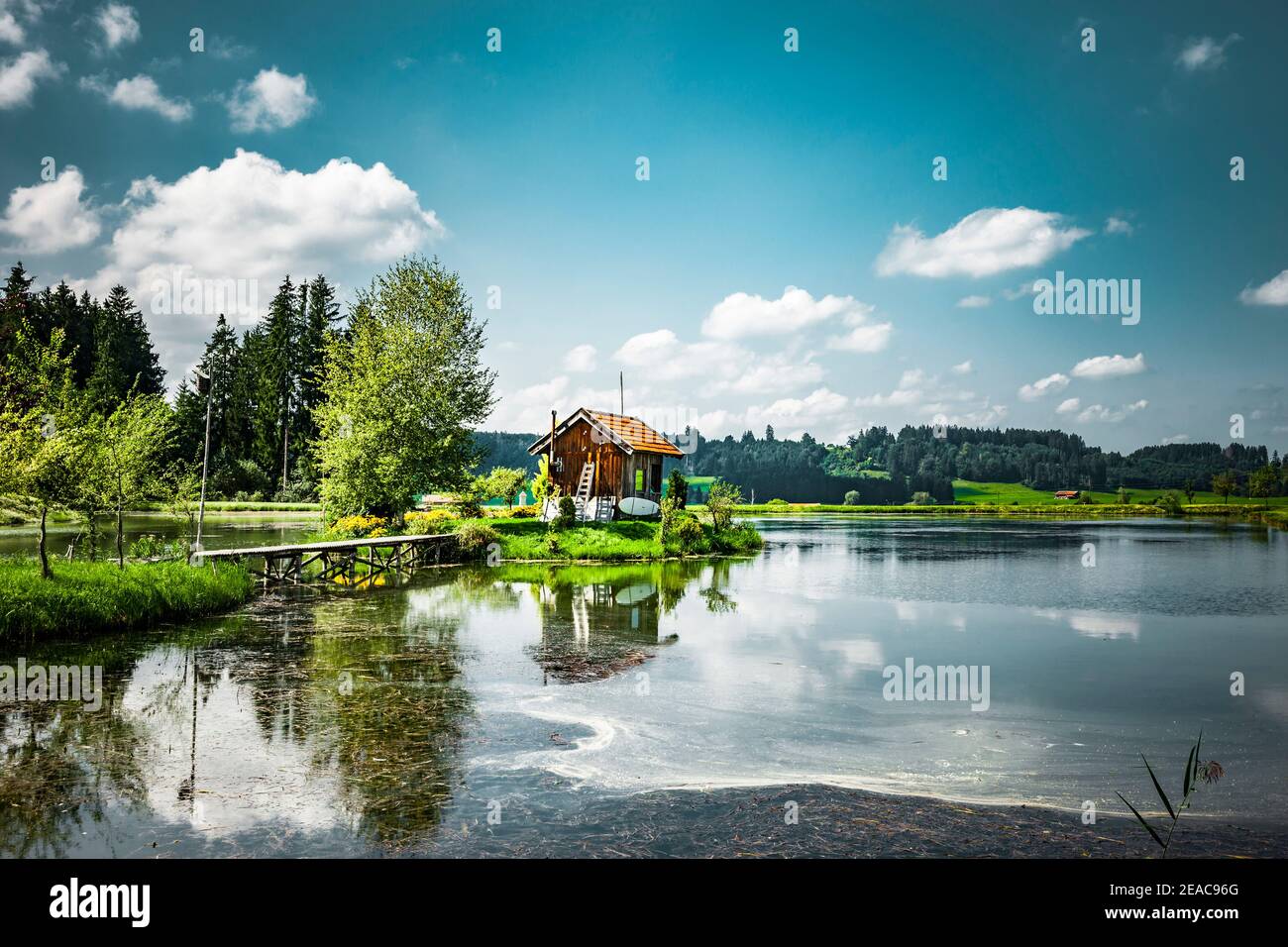 Fishpond bank hi-res stock photography and images - Alamy
