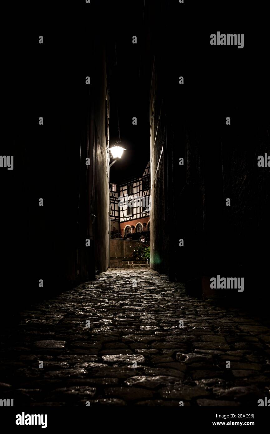 Forest alleyway hi-res stock photography and images - Alamy