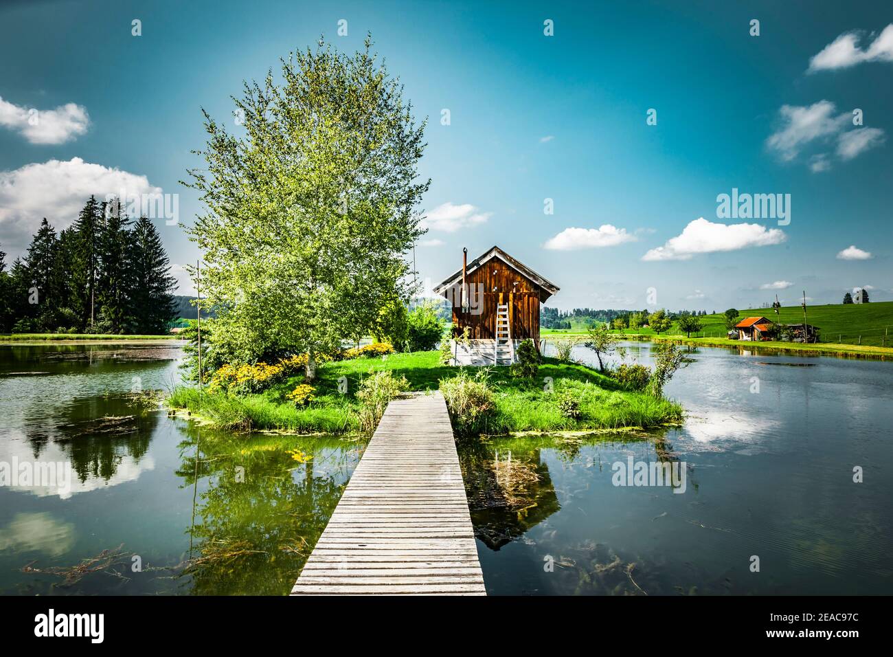 Pond bridges hi-res stock photography and images - Alamy