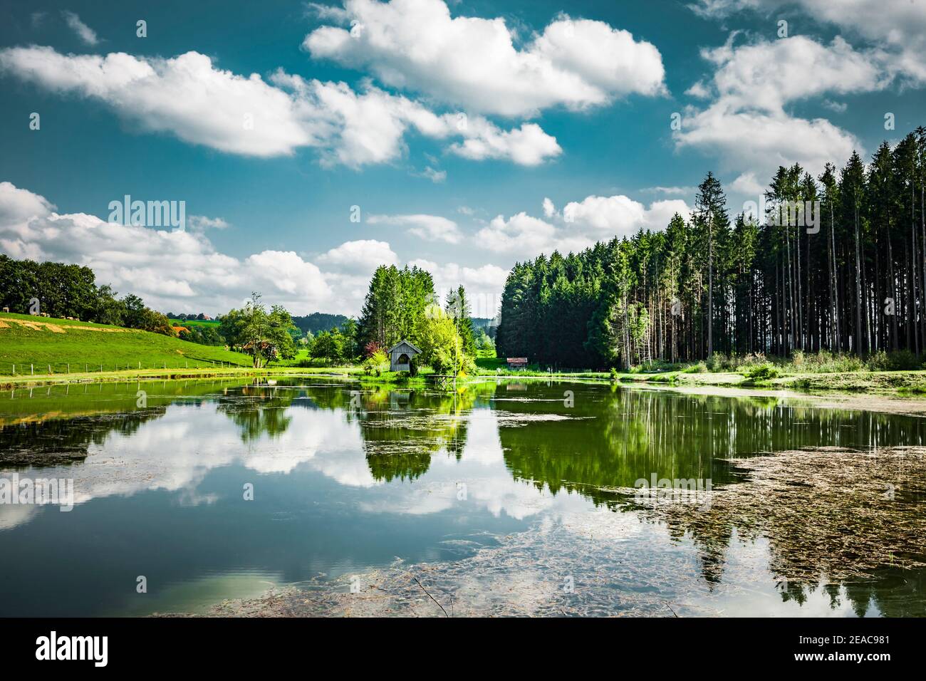 Pond hut hi-res stock photography and images - Alamy