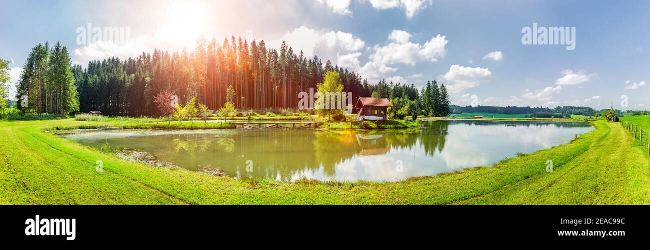 Fishpond woods hi-res stock photography and images - Alamy