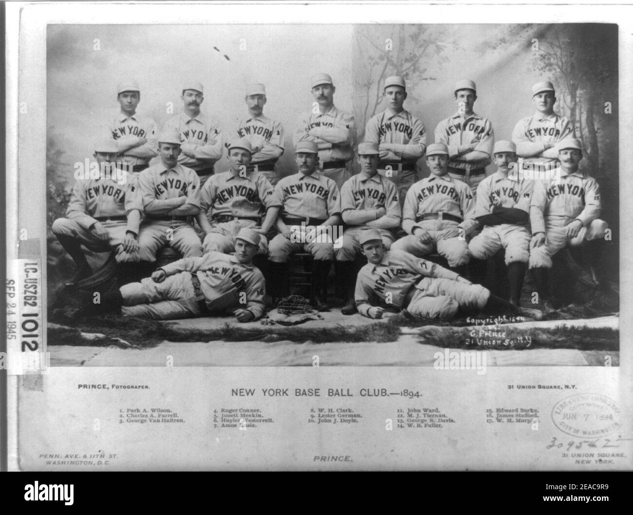 New York base ball club - 1894 Stock Photo - Alamy