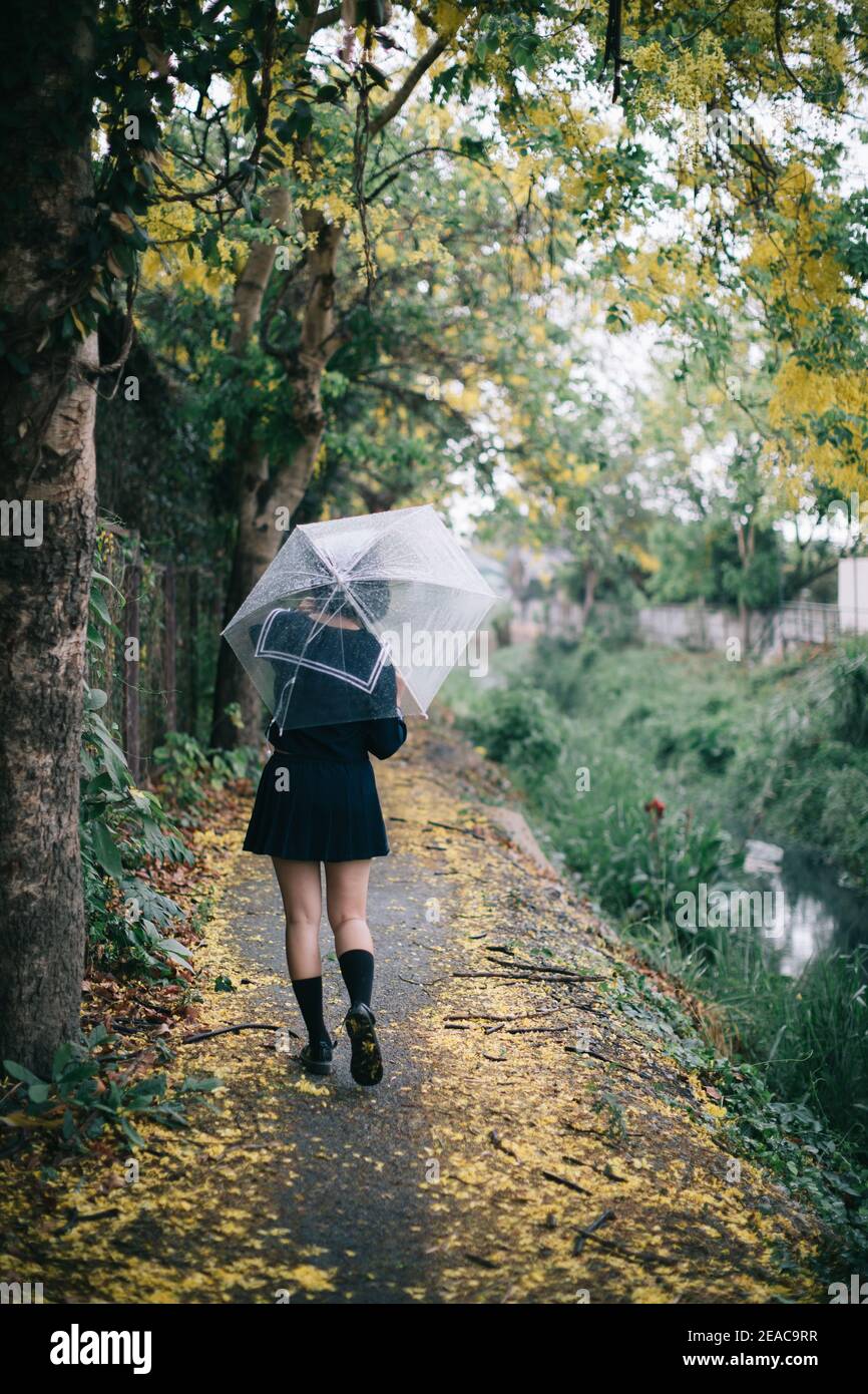 Portrait of Asian school girl walking with umbrella at nature walkway ...