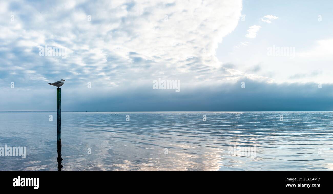 Quiet mood on Lake Constance Stock Photo - Alamy