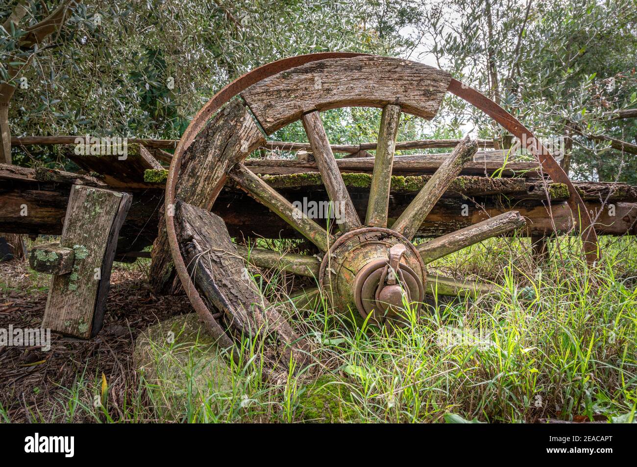 Old timber wagon hi-res stock photography and images - Alamy