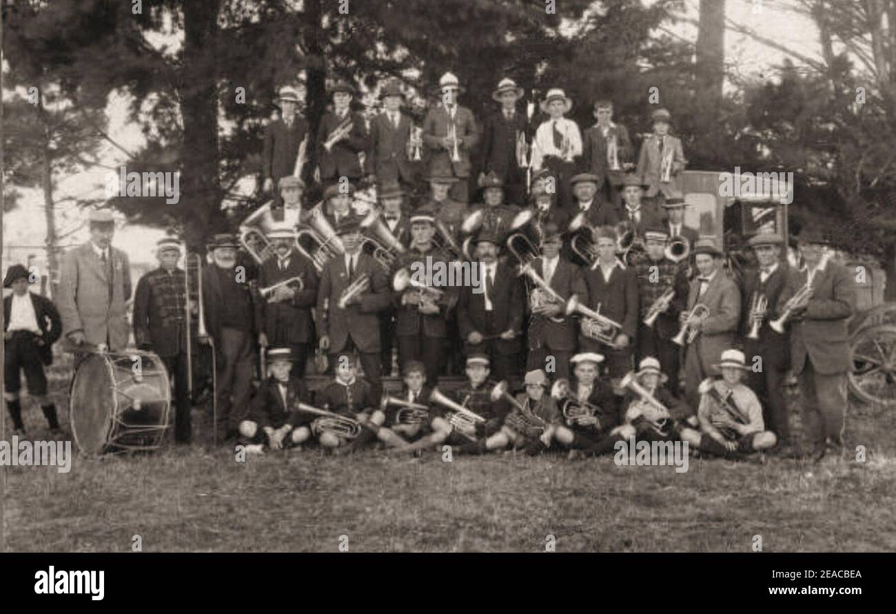 Ongaonga hi-res stock photography and images - Alamy