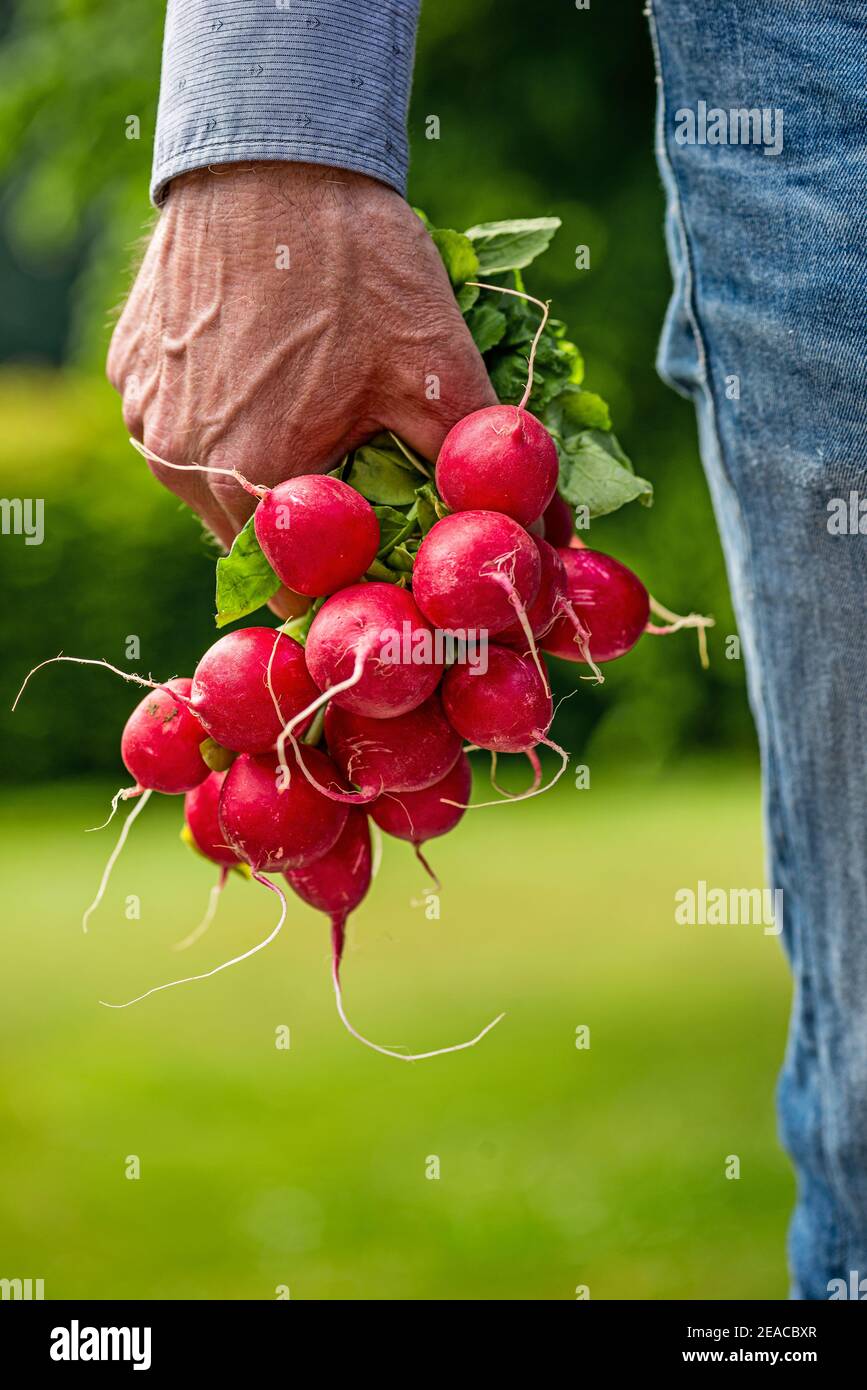Hand in jeans hi-res stock photography and images - Alamy