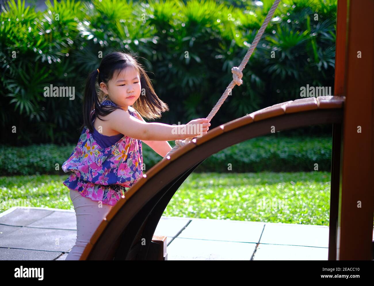 A cute young Asian girl playing a wooden ladder with climbing rope at a ...