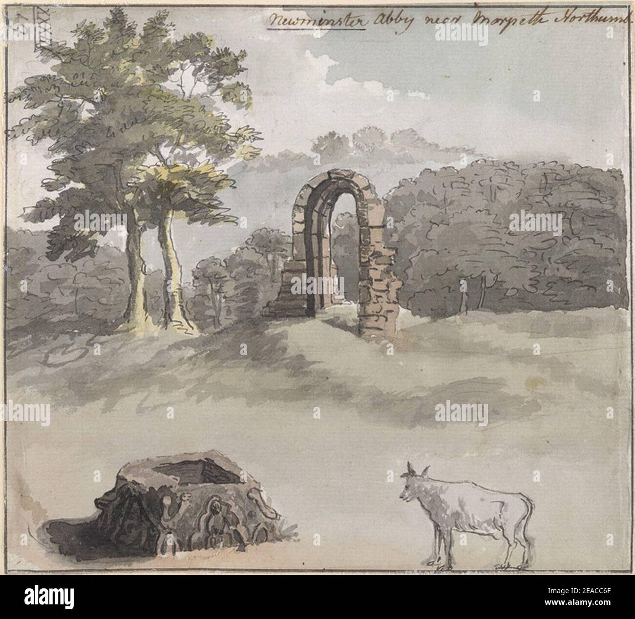 Newminster abbey hi-res stock photography and images - Alamy