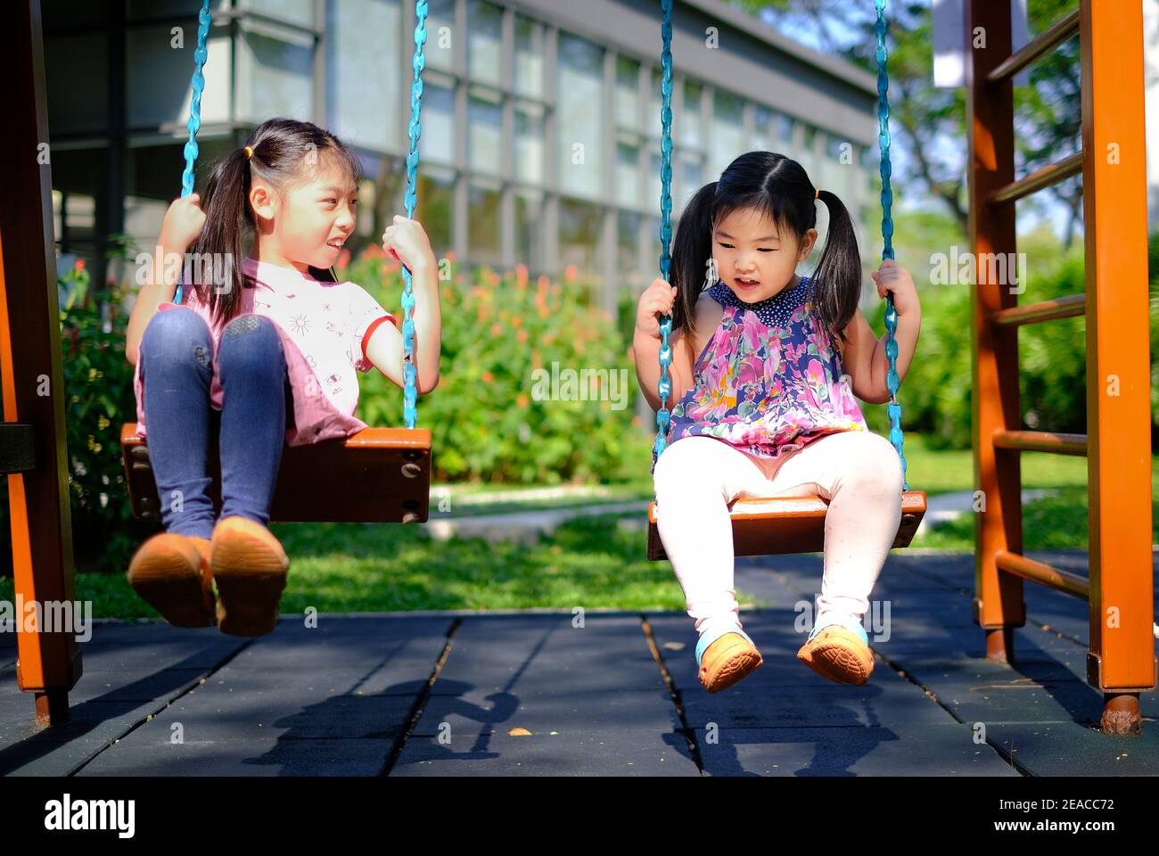Two cute young Asian girls at a playground playing swings together, having fun outdoor and ...