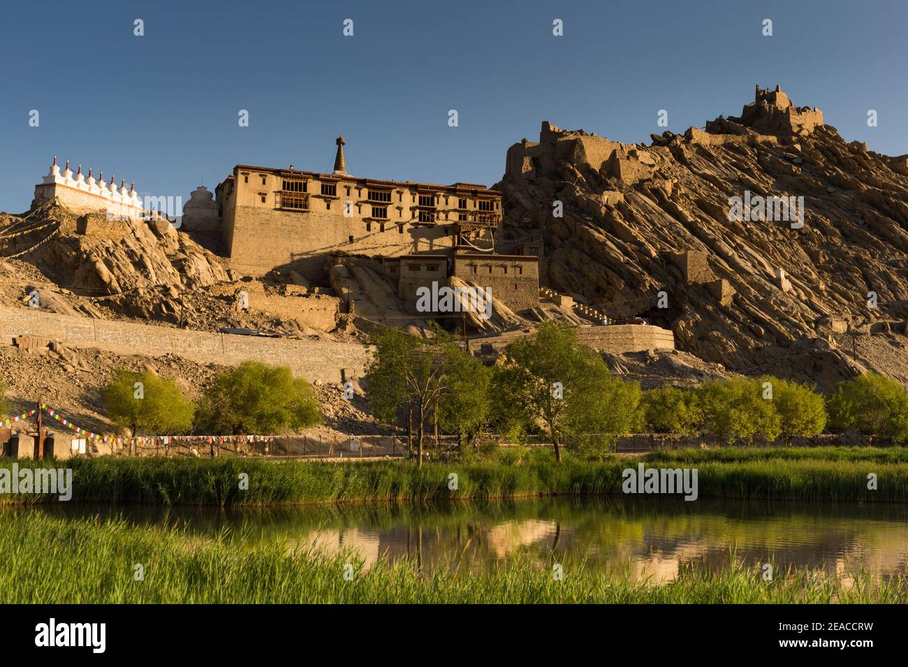 the Shey Gompa Monastery Stock Photo - Alamy