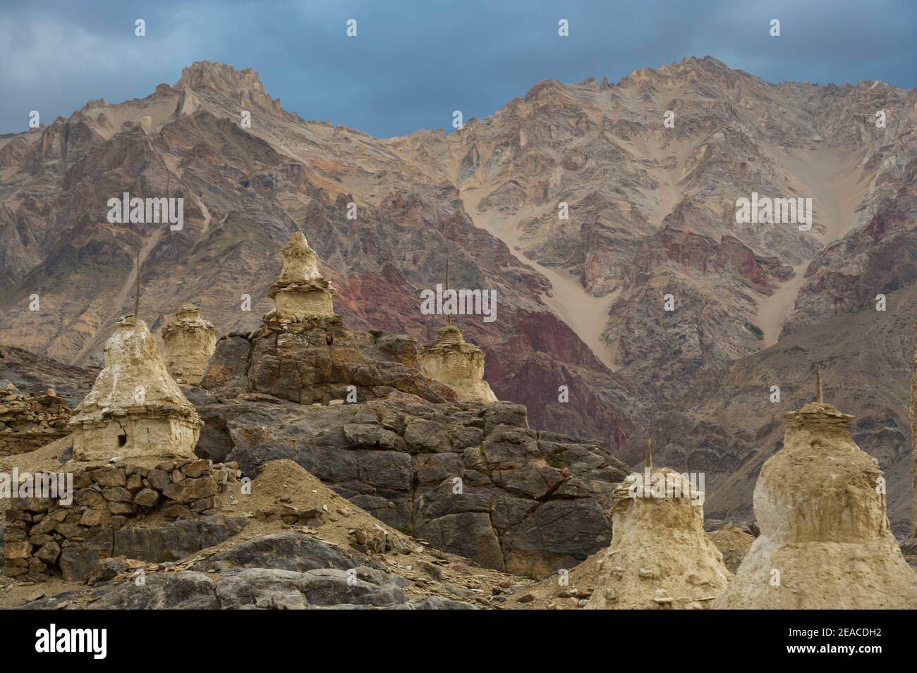 Zangla, with the Karsha Khar fortress Stock Photo - Alamy