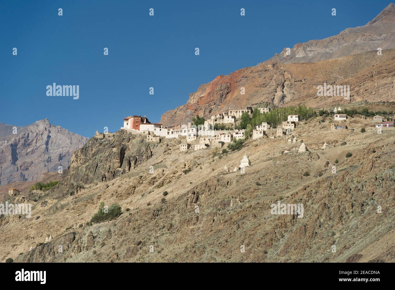 the Stongde Gompa monastery Stock Photo - Alamy